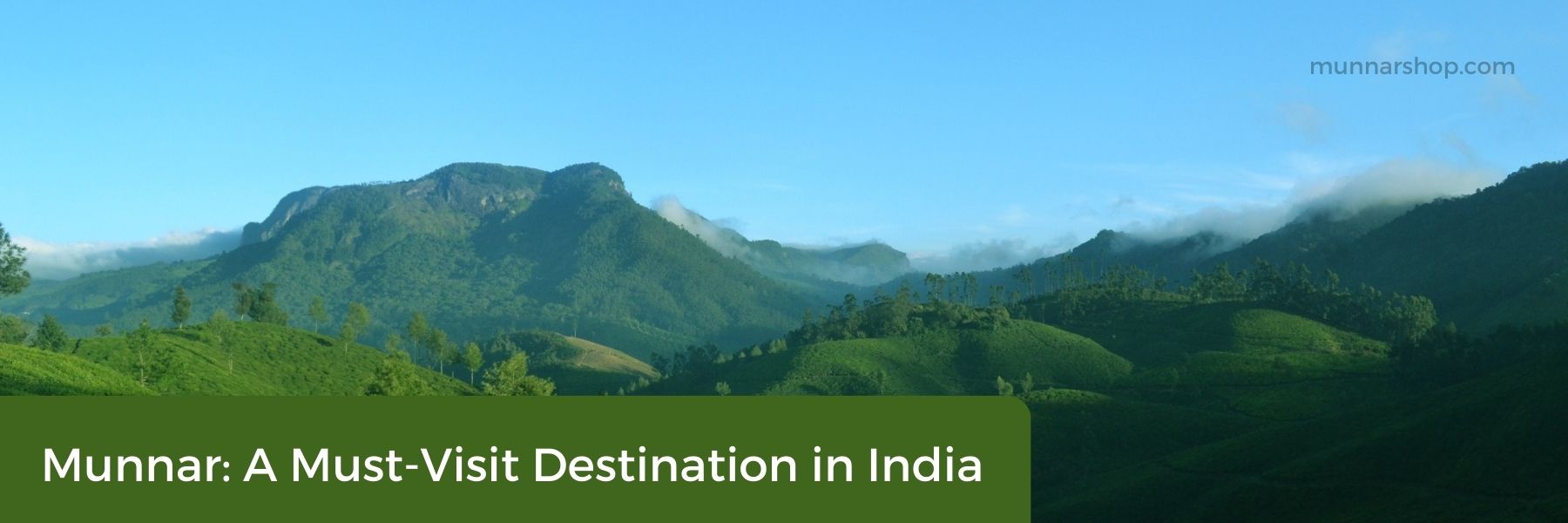 Munnar: A Must-Visit Destination in India - MunnarShop