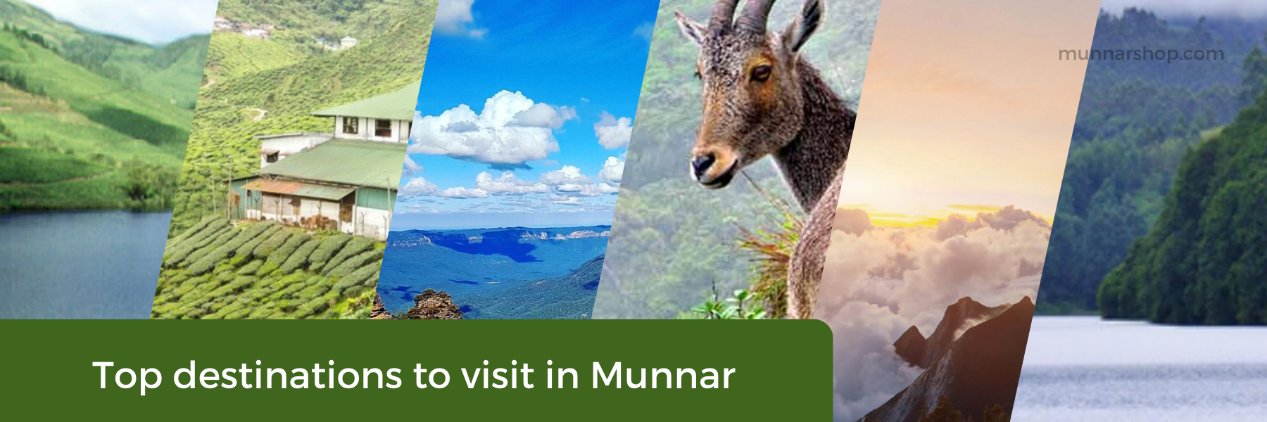 Best destinations to visit in Munnar - MunnarShop
