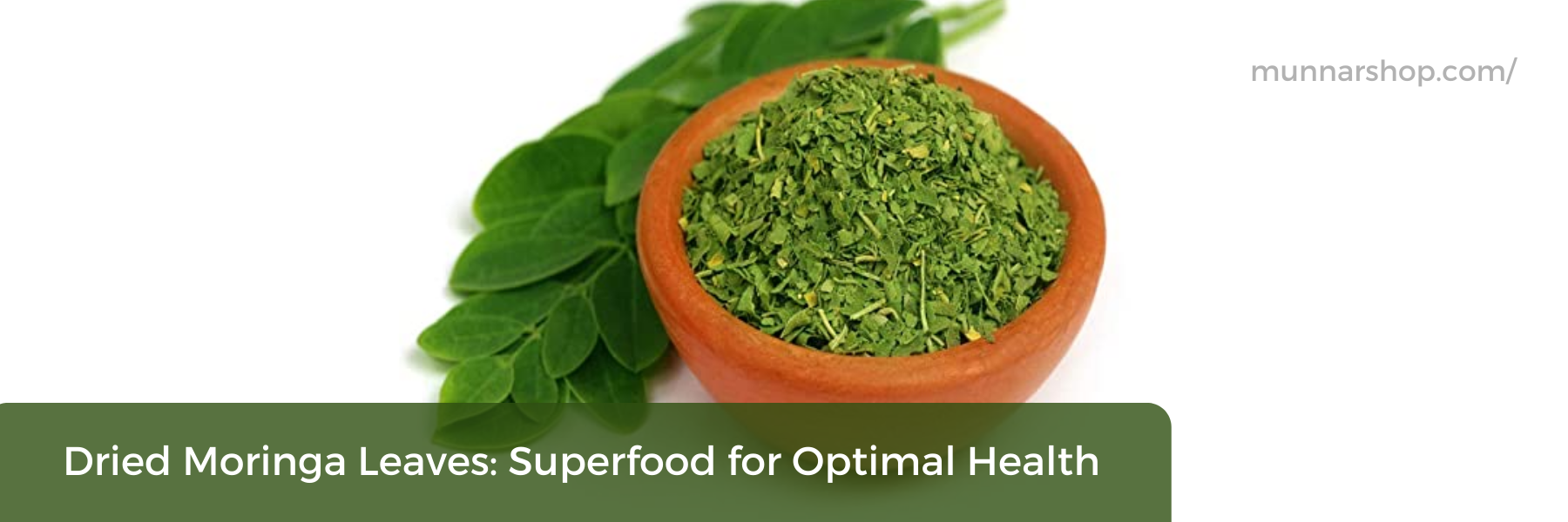 Dried Moringa Leaves: Superfood for Optimal Health - MunnarShop